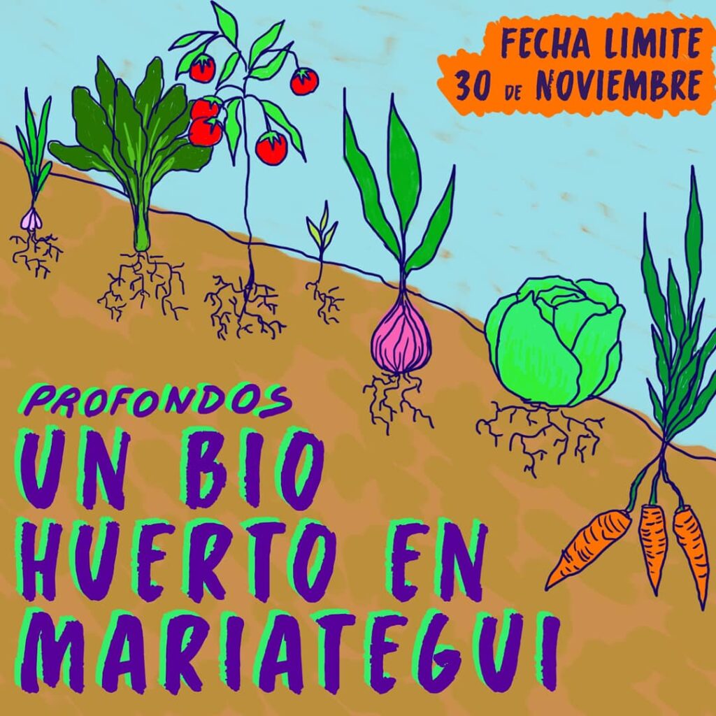 SJL: Vecinas recaudan fondos para biohuerto en Mariategui - San Juan de ...